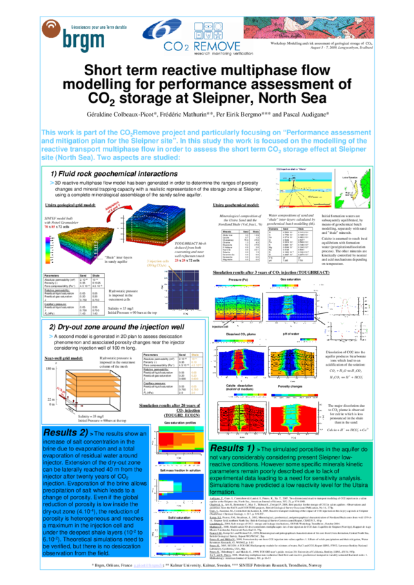 (PDF) Short term reactive multiphase flow modelling for performance assessment of CO2 storage at ...