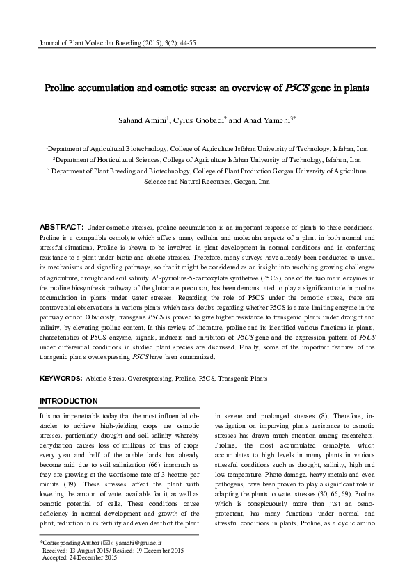 (PDF) Proline accumulation and osmotic stress: an overview of P5CS gene ...
