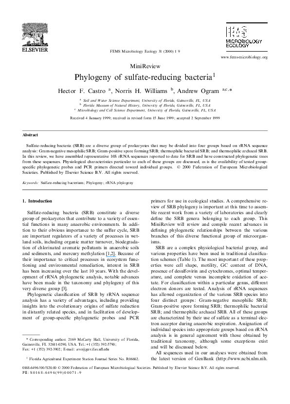 (PDF) Phylogeny of sulfate-reducing bacteria