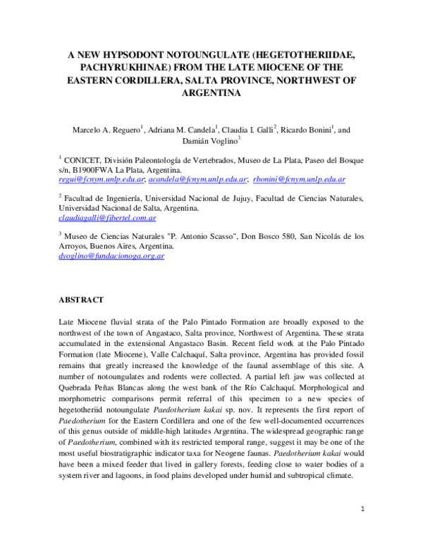 (PDF) A new Hypsodont Notoungulate (Hegetotheriidae, Pachyrukhinae ...