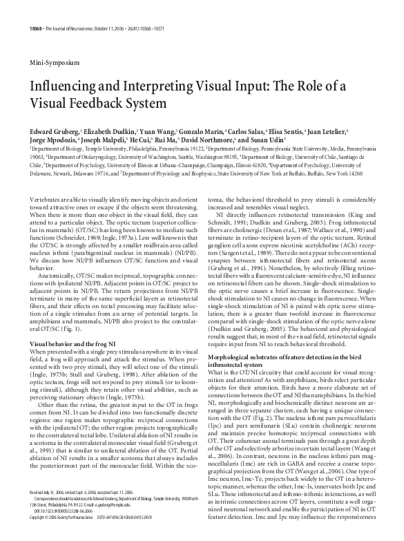 (PDF) Influencing and Interpreting Visual Input: The Role of a Visual ...