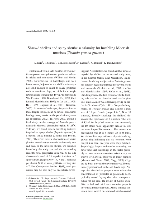 (PDF) Shrewd shrikes and spiny shrubs: a calamity for hatchling Moorish ...