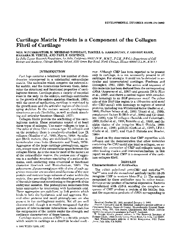(PDF) Cartilage matrix protein is a component of the collagen fibril of ...