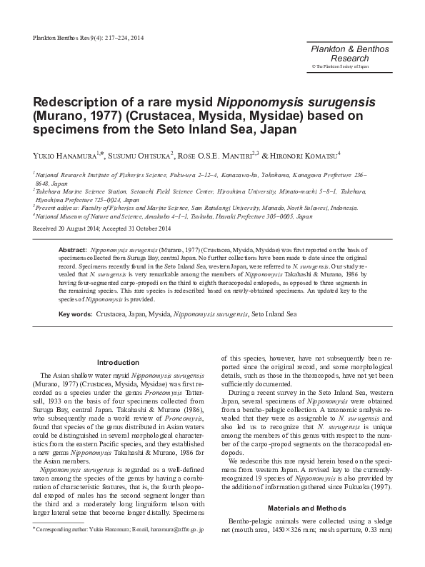 (PDF) Redescription of a rare mysid Nipponomysis surugensis (Murano ...