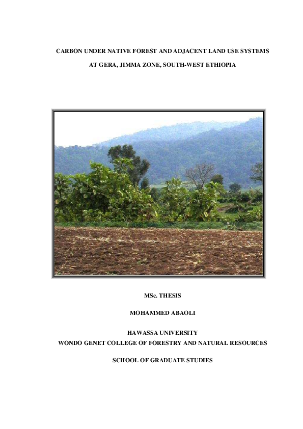 (PDF) CARBON UNDER NATIVE FOREST AND ADJACENT LAND USE SYSTEMS AT GERA ...