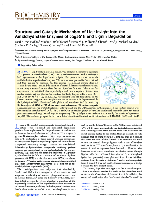 (PDF) Structure and Catalytic Mechanism of LigI: Insight into the ...