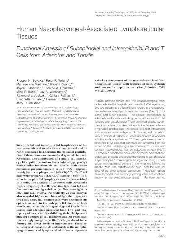 (PDF) Human Nasopharyngeal-Associated Lymphoreticular Tissues