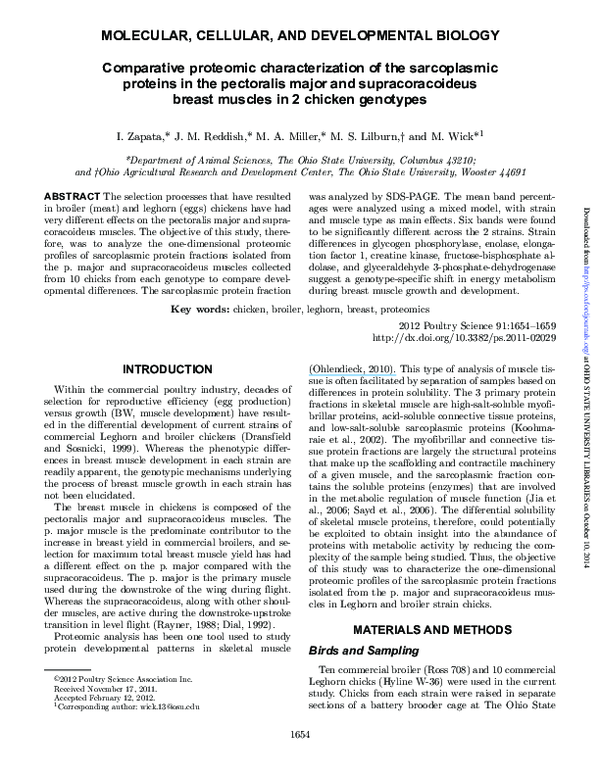(PDF) Comparative proteomic characterization of the sarcoplasmic ...