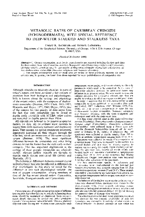 (PDF) Metabolic rates of caribbean crinoids (Echinodermata), with ...