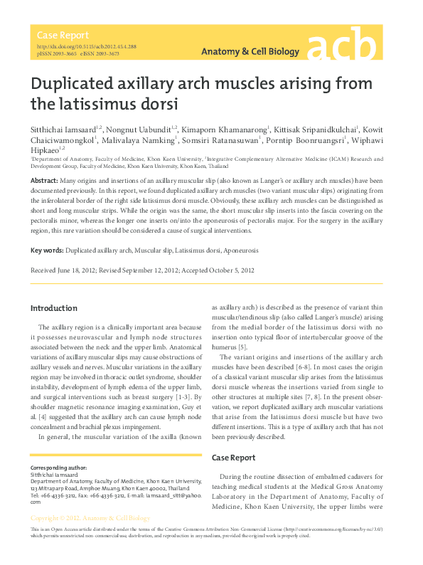 (PDF) Duplicated axillary arch muscles arising from the latissimus dorsi