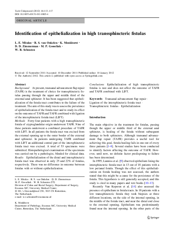 (PDF) Identification of epithelialization in high transsphincteric fistulas