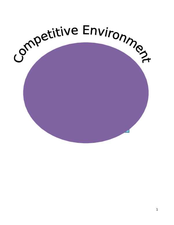 (DOC) Competitive Environment