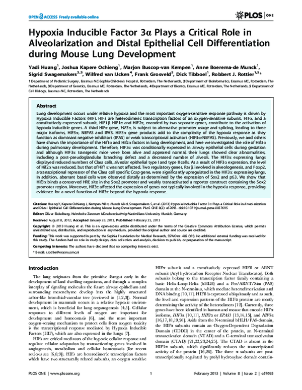 (PDF) Hypoxia Inducible Factor 3α Plays a Critical Role in ...