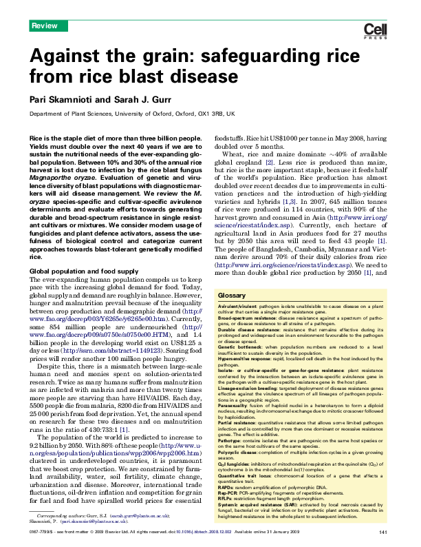 (PDF) Against the grain: safeguarding rice from rice blast disease