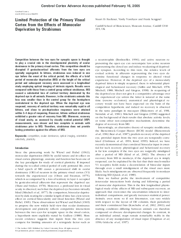 (PDF) Limited Protection of the Primary Visual Cortex from the Effects of Monocular Deprivation ...