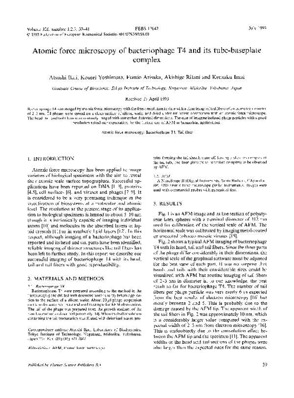 (PDF) Atomic force microscope of bacteriophage T4 and its tube ...