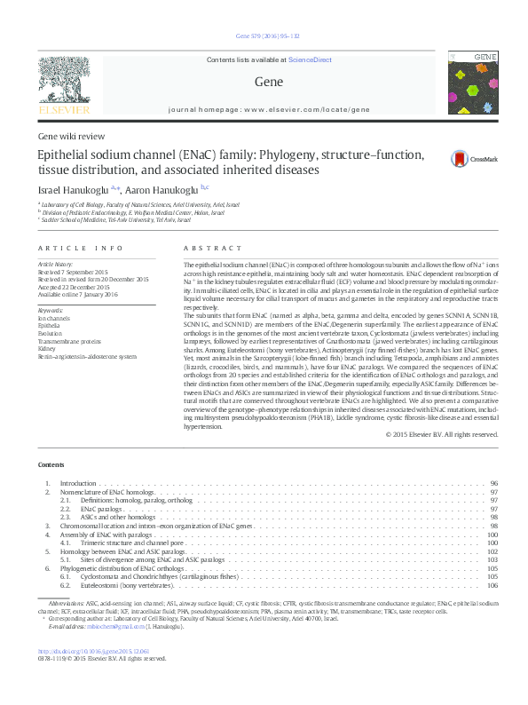 (PDF) Epithelial sodium channel (ENaC) family: Phylogeny, structure ...