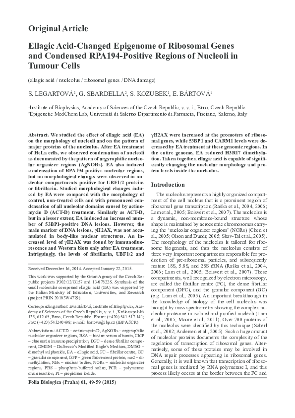 (PDF) Ellagic Acid-Changed Epigenome of Ribosomal Genes and Condensed ...