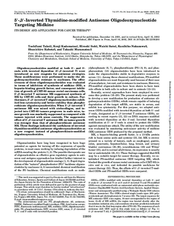 (PDF) 5'-,3'-Inverted Thymidine-modified Antisense Oligodeoxynucleotide ...
