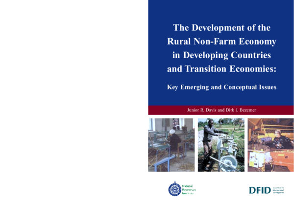 (PDF) The Development of the Rural Non-farm Economy in Developing ...