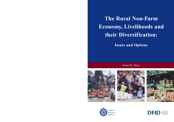 (PDF) The Rural-Non-Farm Economy, Livelihoods and their Diversification ...