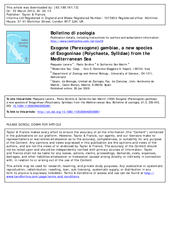 (PDF) Exogone (Parexogone) gambiae , a new species of Exogoninae ...