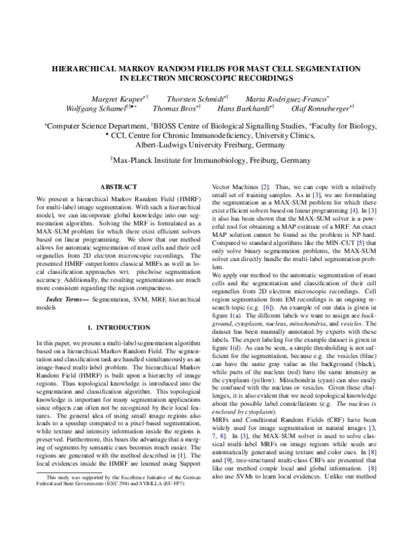 (PDF) Hierarchical Markov Random Fields for mast cell segmentation in electron microscopic ...
