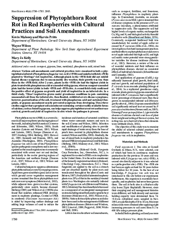 (PDF) Suppression of Phytophthora root rot in red raspberries with ...