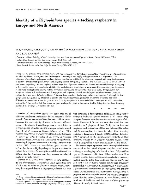 (PDF) Identity of a Phytophthora species attacking raspberry in Europe ...