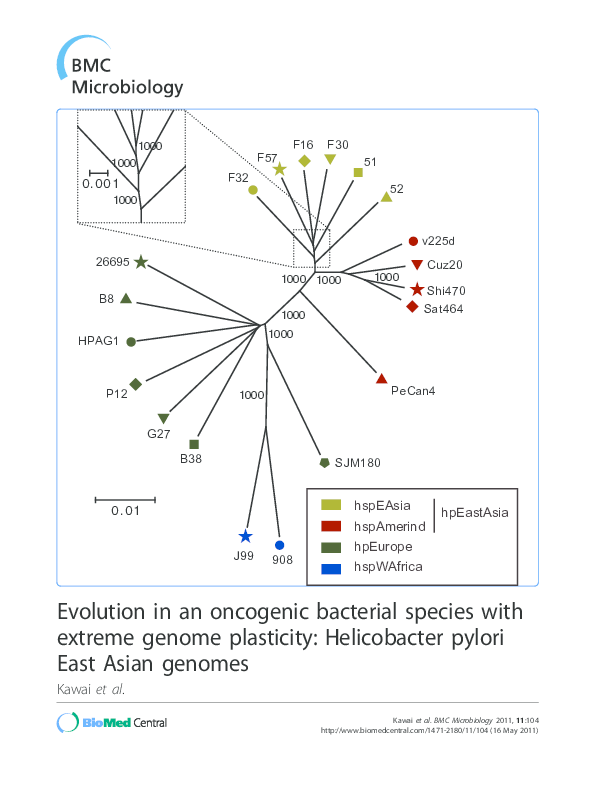 (PDF) Evolution in an oncogenic bacterial species with extreme genome ...
