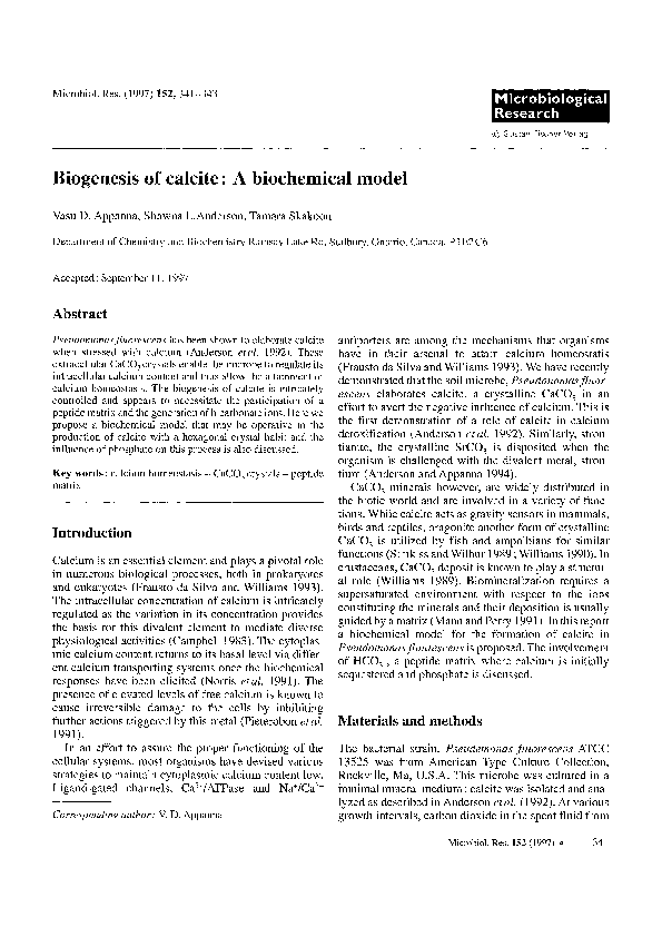 (PDF) Biogenesis of calcite: A biochemical model