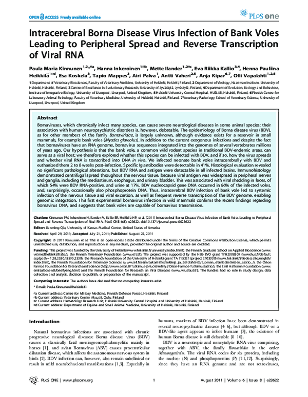 (PDF) Intracerebral Borna Disease Virus Infection of Bank Voles Leading ...