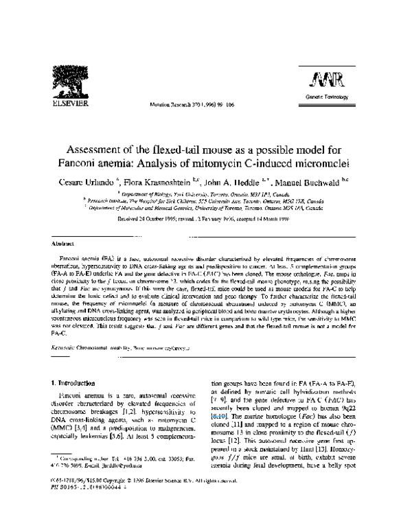 (PDF) Assessment of the flexed-tail mouse as a possible model for ...