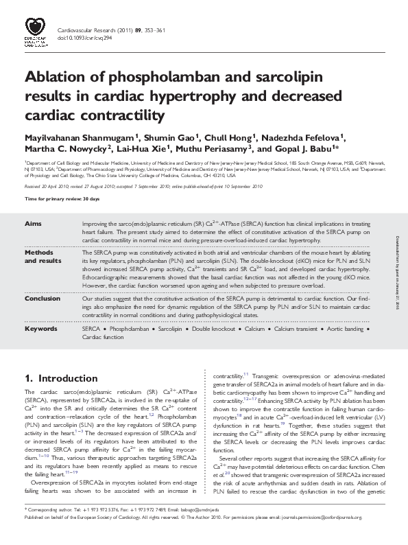 (PDF) Ablation of phospholamban and sarcolipin results in cardiac ...