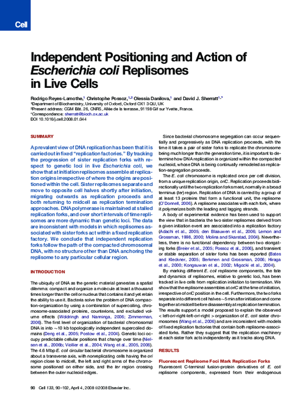 (PDF) Independent Positioning and Action of Escherichia coli Replisomes ...
