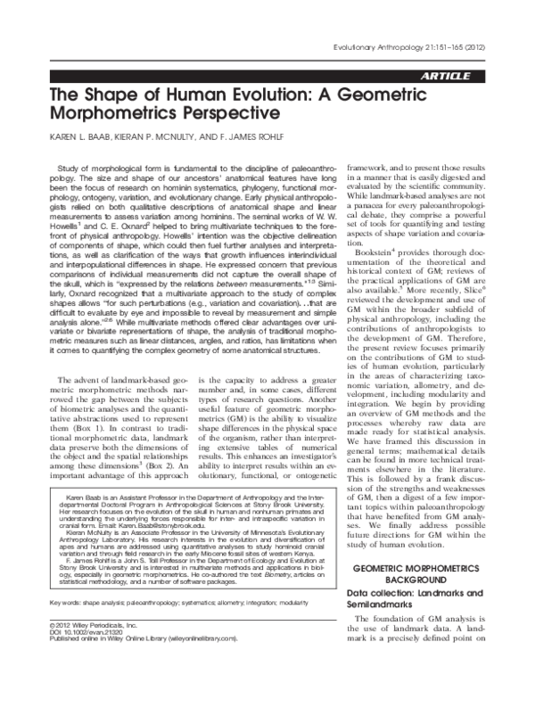 (PDF) The shape of human evolution: A geometric morphometrics perspective