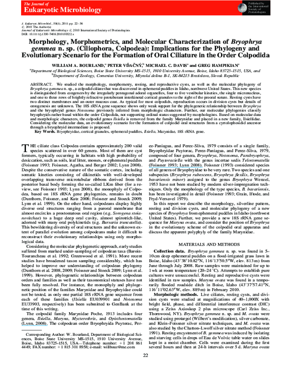 (PDF) Morphology, Morphometrics, and Molecular Characterization of ...