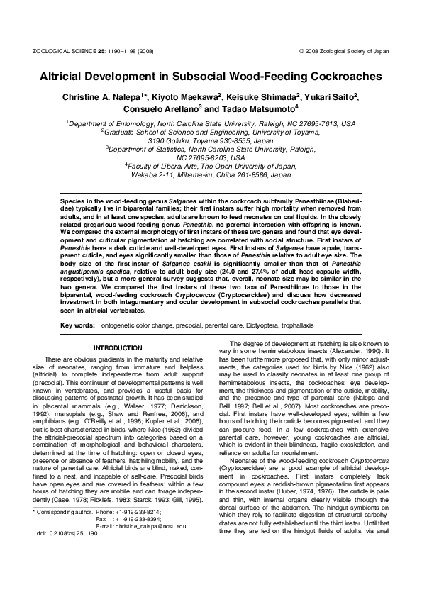 (PDF) Altricial Development in Subsocial Wood-Feeding Cockroaches ...