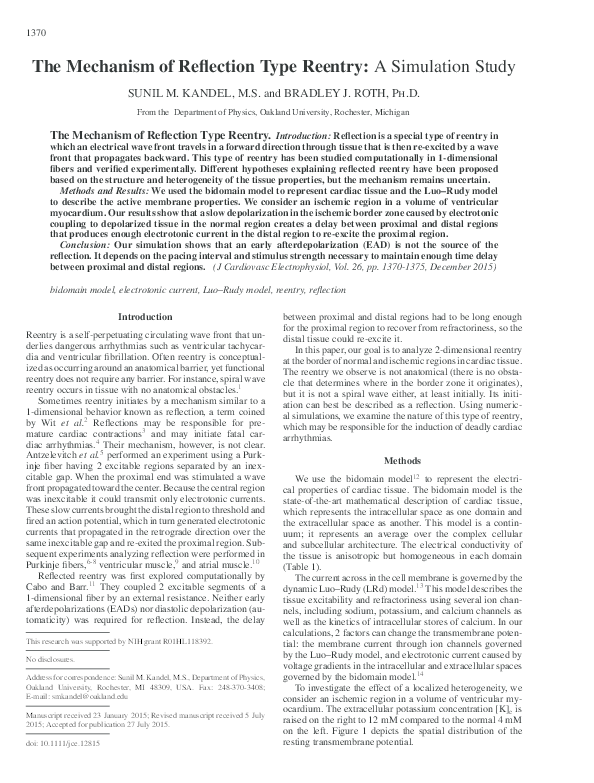 (PDF) The Mechanism of Reflection Type Reentry: A Simulation Study