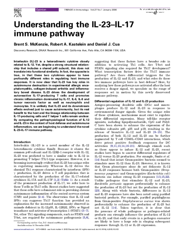 (PDF) Understanding the IL-23–IL-17 immune pathway
