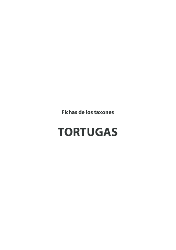 (PDF) Phrynops williamsi Rhodin & Mittermeier, 1983. Tortuga herradura ...