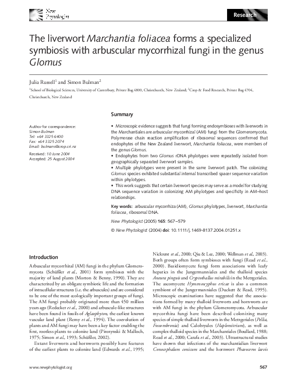 (PDF) The liverwort Marchantia foliacea forms a specialized symbiosis ...