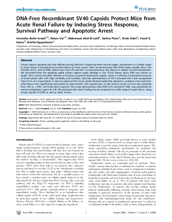 (PDF) DNA-Free Recombinant SV40 Capsids Protect Mice from Acute Renal ...