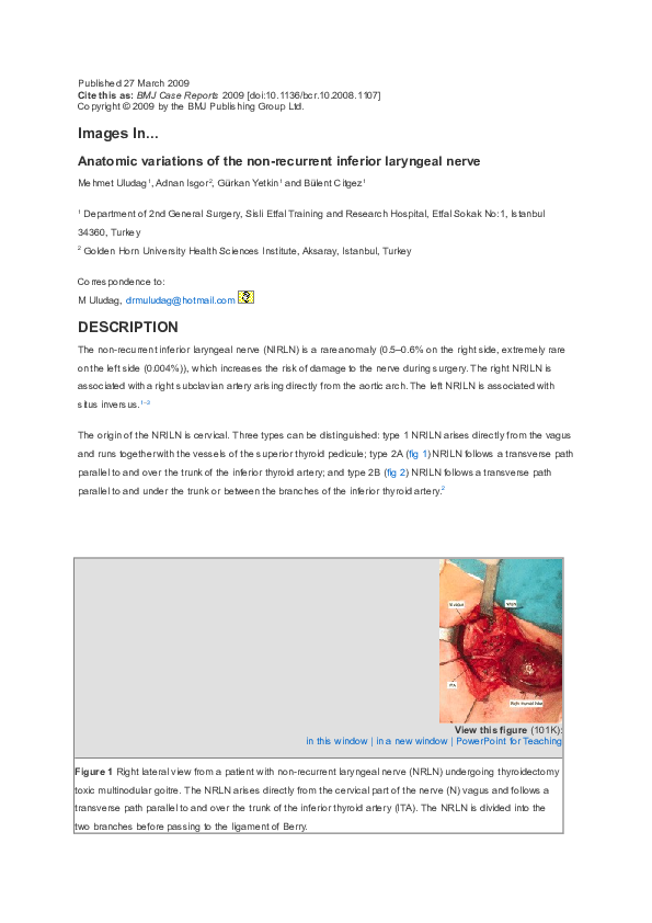 (DOC) Anatomic variations of the non-recurrent inferior laryngeal nerve