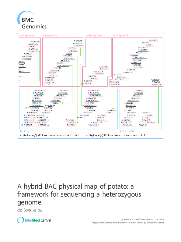 (PDF) A hybrid BAC physical map of potato: a framework for sequencing a ...