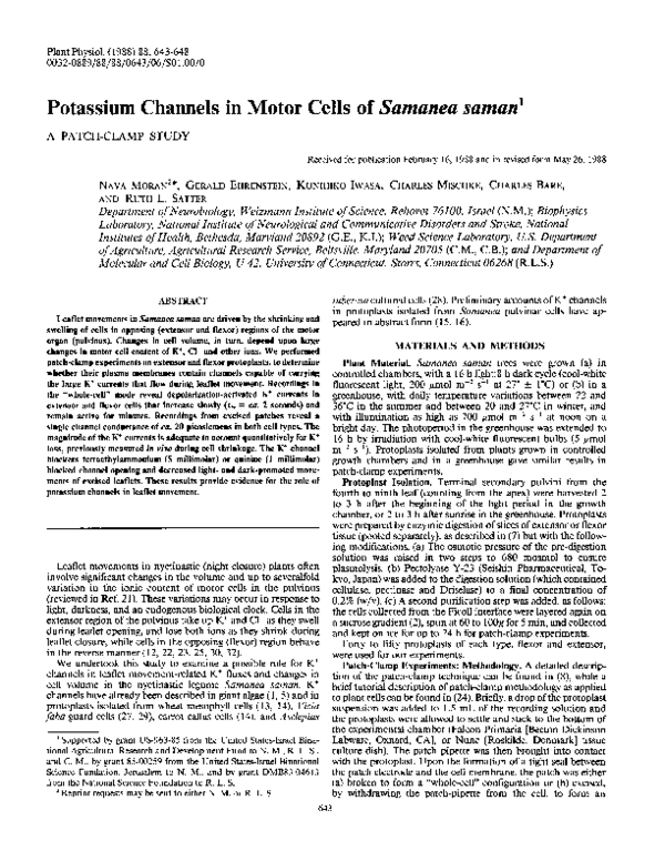 (PDF) Potassium Channels in Motor Cells of Samanea saman: A Patch-Clamp ...