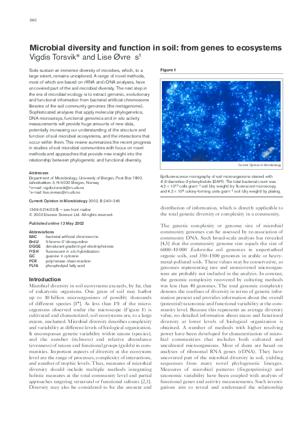 (PDF) Microbial diversity and function in soil: from genes to ecosystems