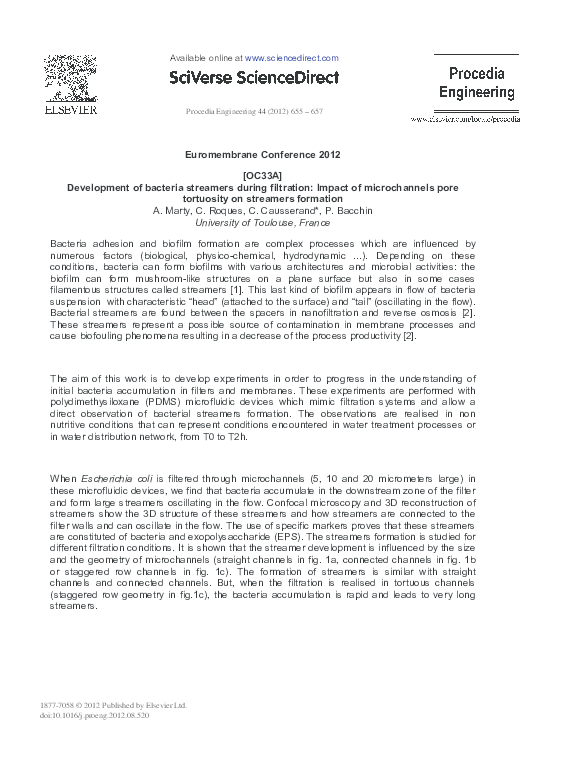 (PDF) Development of Bacteria Streamers During Filtration: Impact of ...