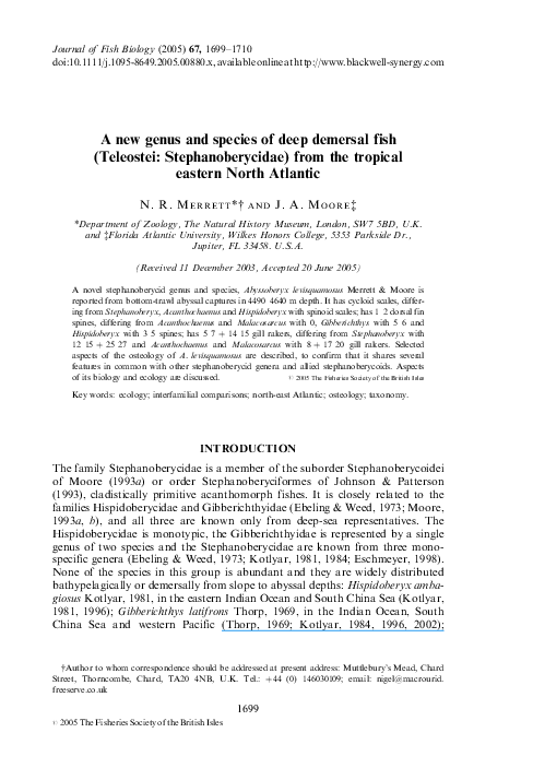 (PDF) A new species and a review of the deep-sea fish genus Asquamiceps ...