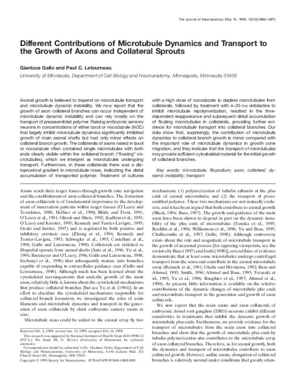 (PDF) Different contributions of microtubule dynamics and transport to ...